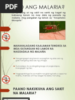 DENGUE LEAFLETS IEC POSTER by CHRISTIAN IGNACIO | PDF