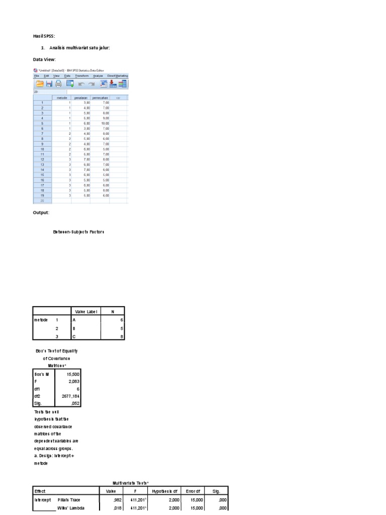 Hasil SPSS: 1. Analisis Multivariat Satu Jalur:: Data View | PDF ...