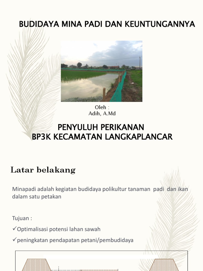 Bahan Tayang Analisa Usaha Mina Padi | PDF