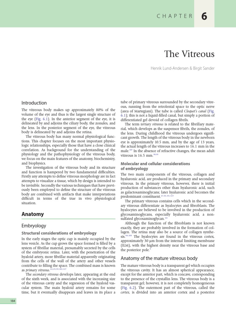 The Structure and Functions of the Vitreous Body: An In-Depth Look at ...
