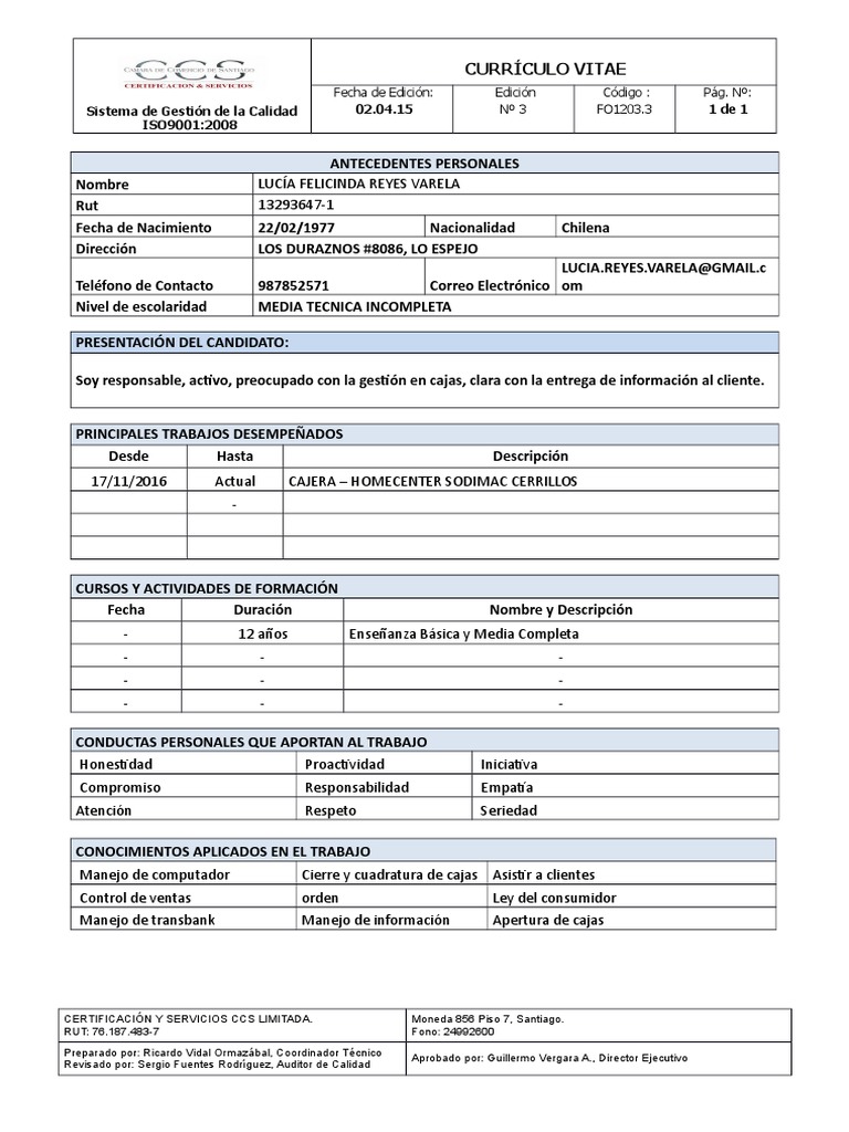 CV Lucía | PDF | Informática | Informática y tecnología de la información