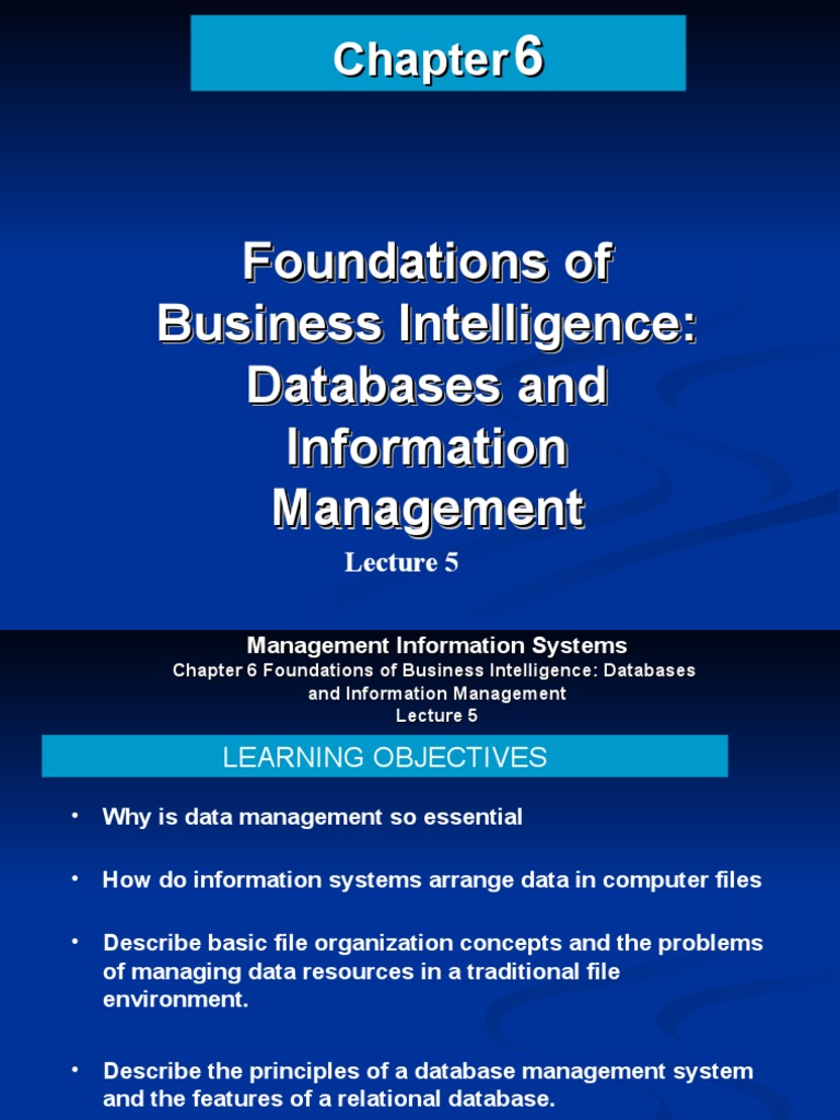Foundations of Business Intelligence: Databases and Information ...