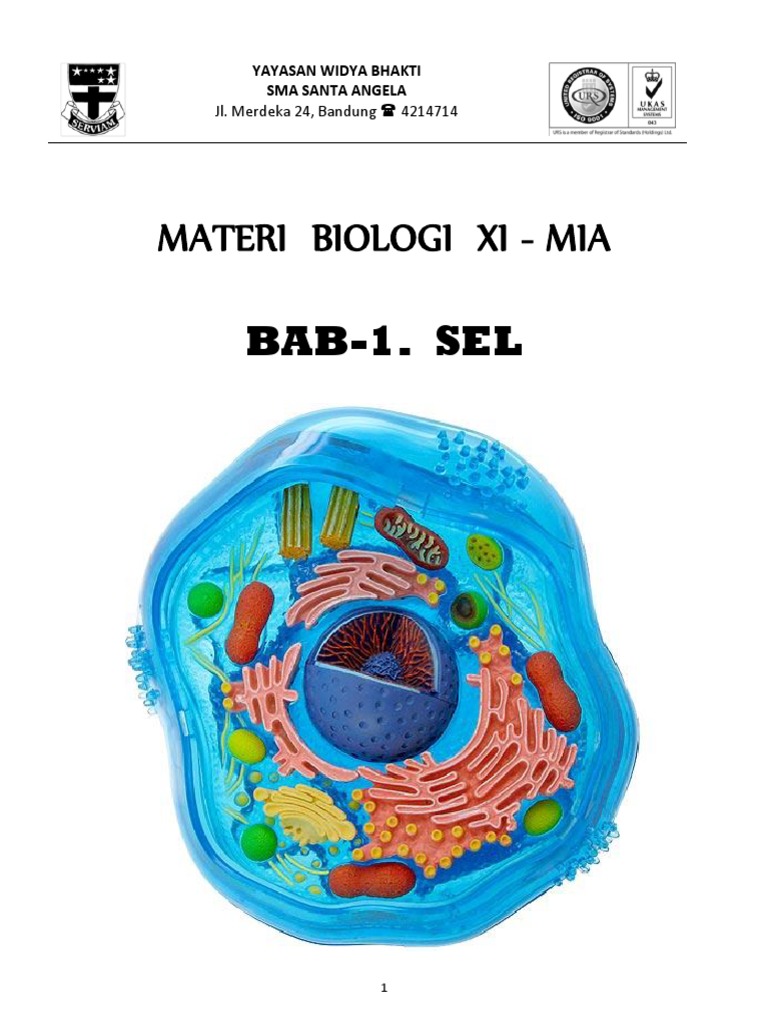 Bab 1 Sel PDF | PDF
