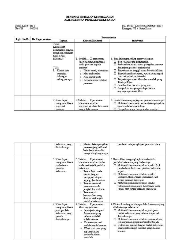 Rencana Tindakan Keperawatan Jiwa | PDF