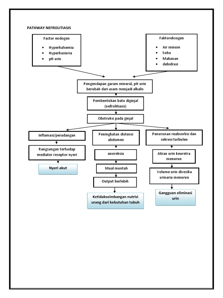 Pathway nefrolitiasis.docx