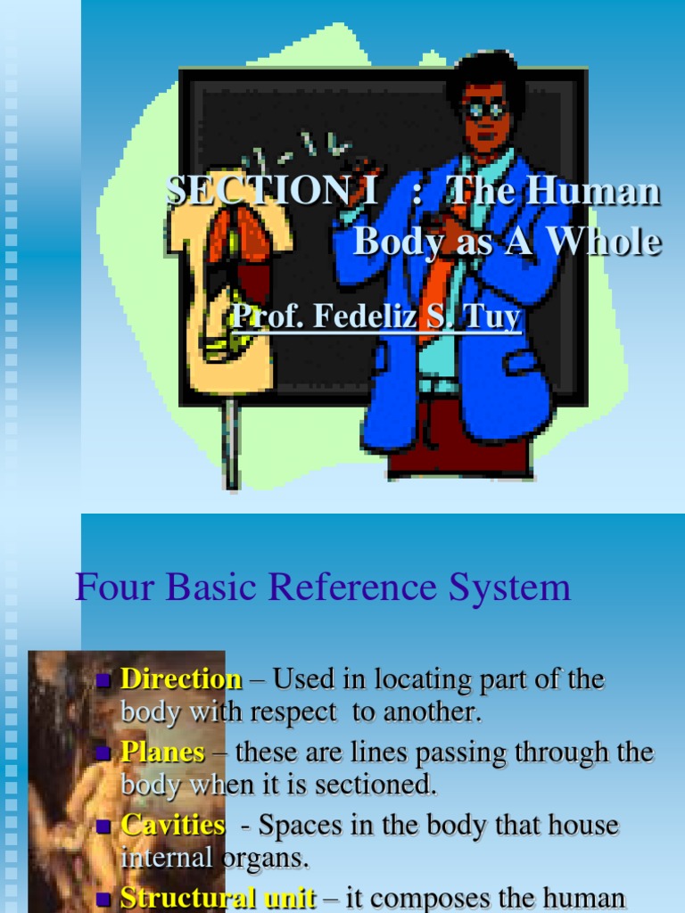 Section 1-Human Body As A Whole | PDF | Human Body | Anatomical Terms ...