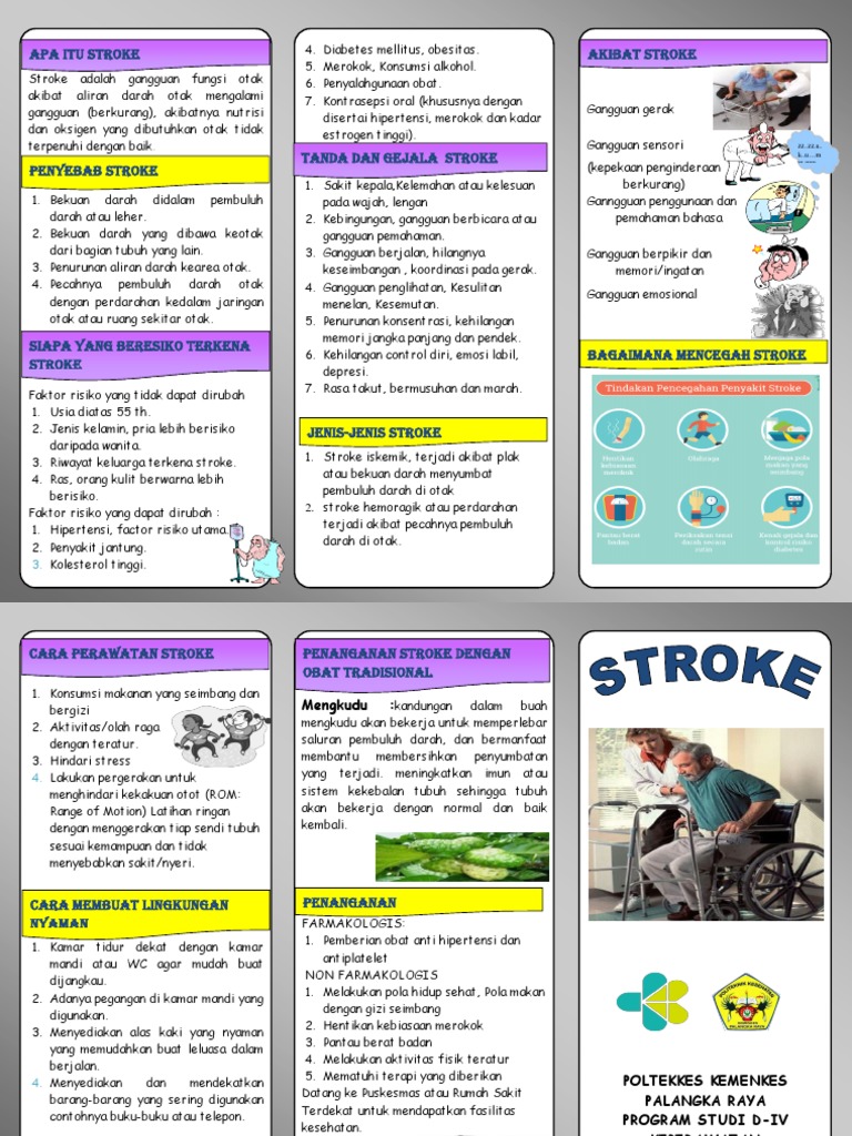 Leaflet Stroke 1 | PDF
