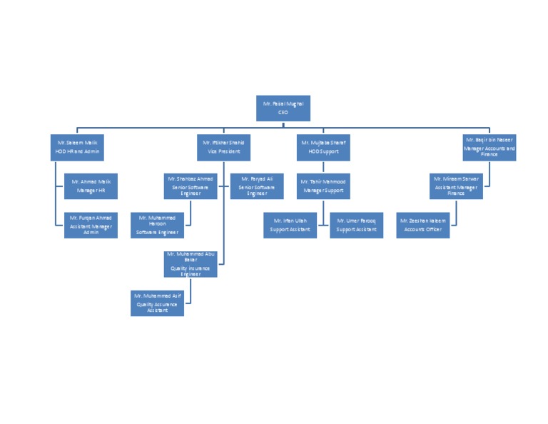 Hospital Organogram Overview | PDF | Business | Violence