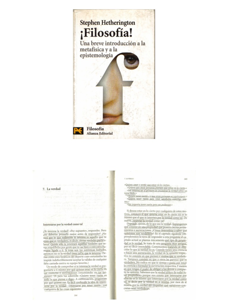 Stephen Hetherington-Filosofía. Cap. 7 | PDF