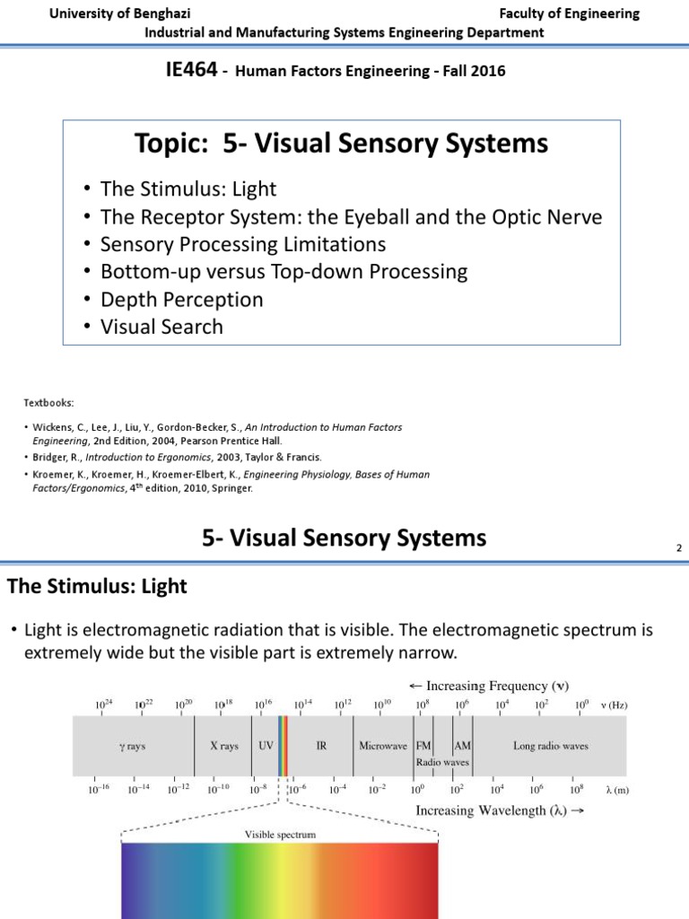 IE464 T5 Visual Sensory Systems | PDF | Contrast (Vision) | Visual System