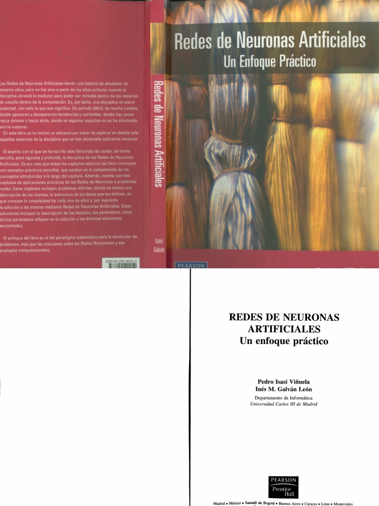 Redes Neuronales Artificiales Un Enfoque Practico PDF | PDF
