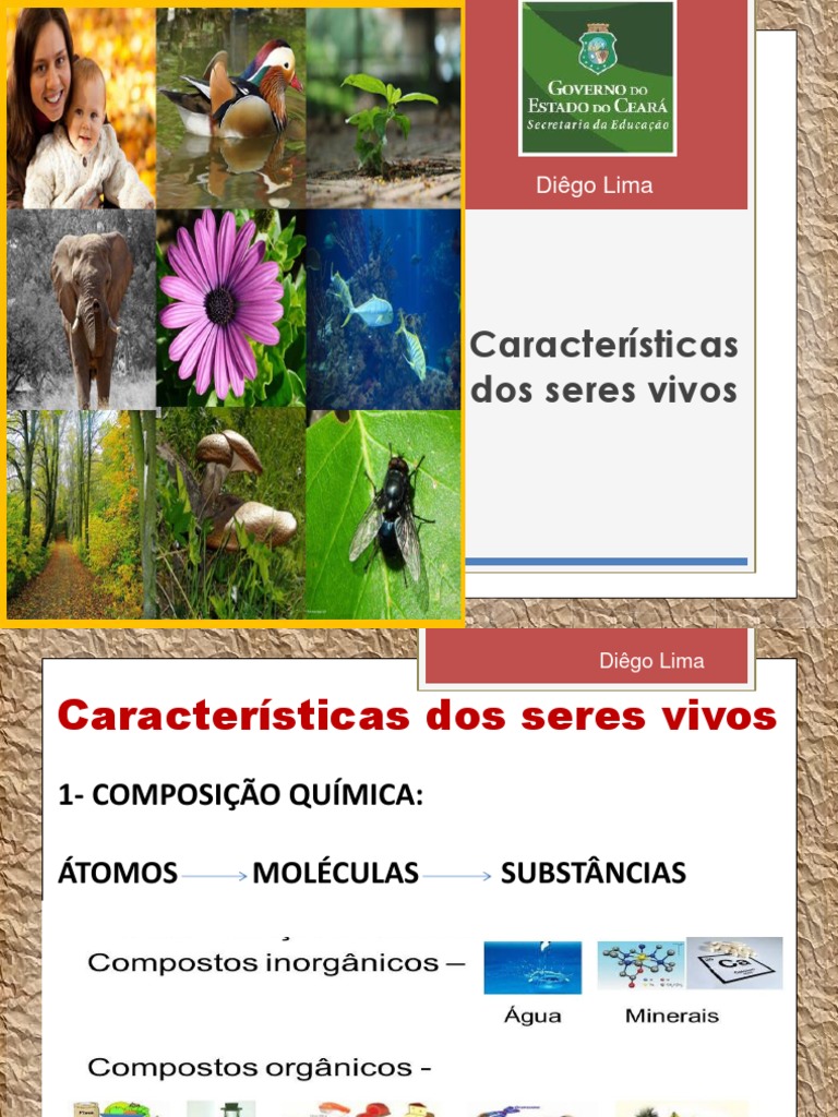 Características Dos Seres Vivos | PDF | Organismos | Nutrientes