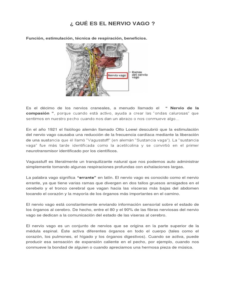 ¿ QUÉ ES EL NERVIO VAGO | Telómero | Corazón