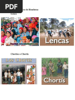 10 Recetas Lencas | PDF | Maíz | Comida y bebida