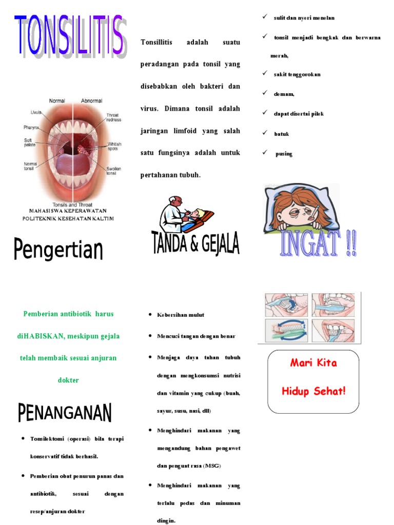 Leaflet Tonsil | PDF
