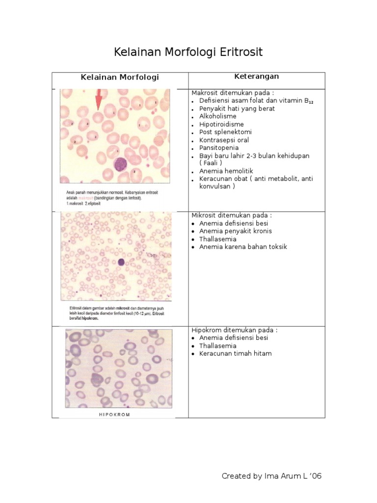 Kelainan Morfologi Eritrosit Pdf
