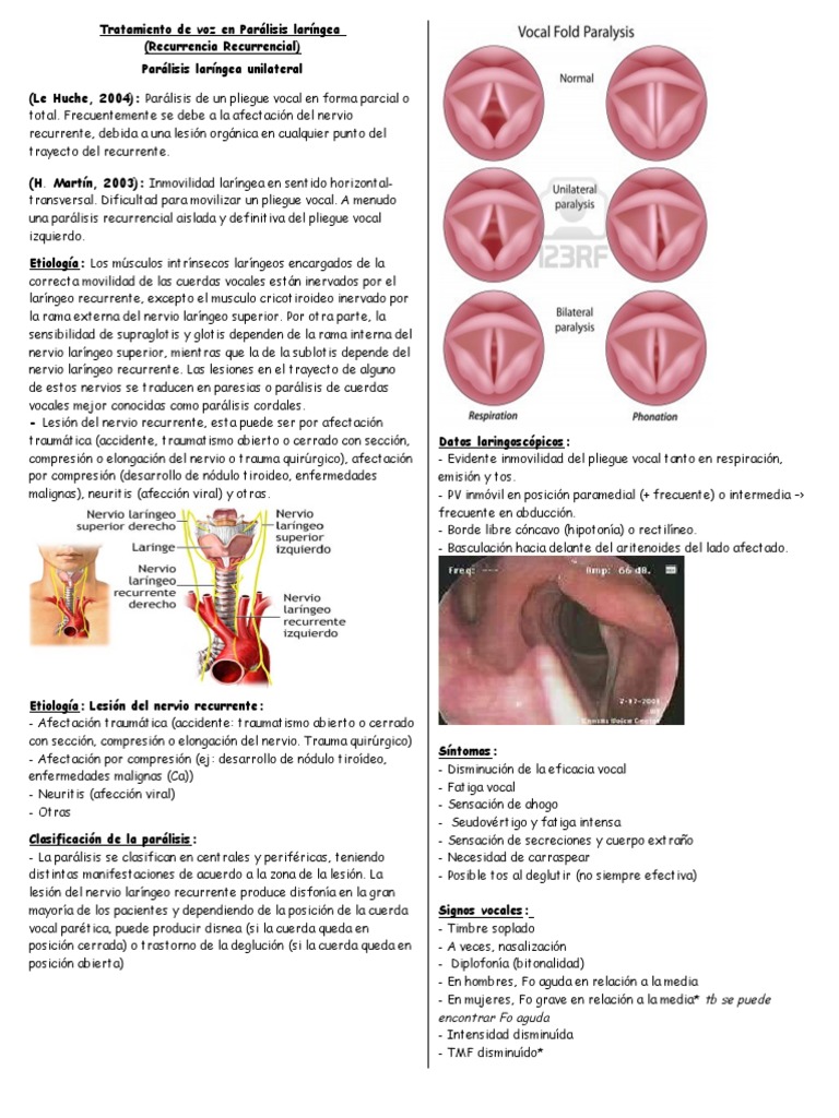Tratamiento de Voz en Parálisis Laríngea | PDF | Especialidades Medicas ...