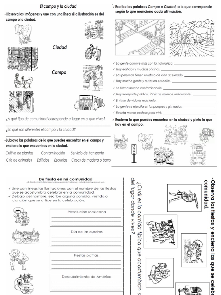Campo y Ciudad Ejercicios | PDF