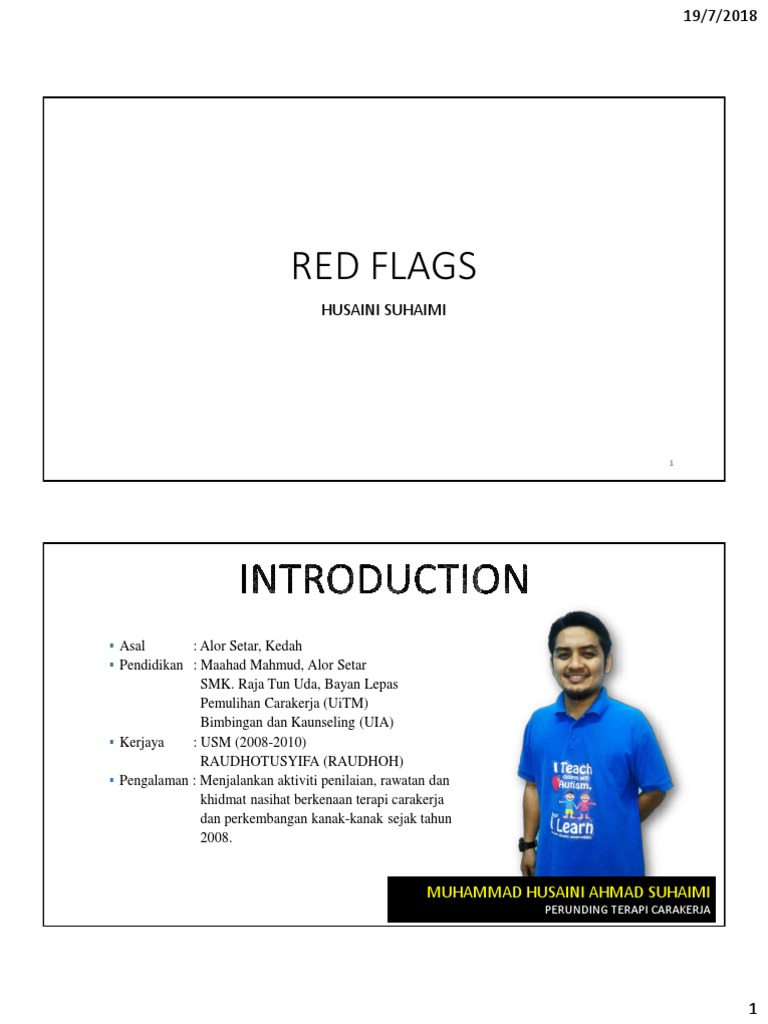 Red Flags | PDF