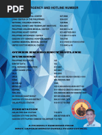 EMERGENCY HOTLINE NUMBERS Taguig City Philippines | PDF