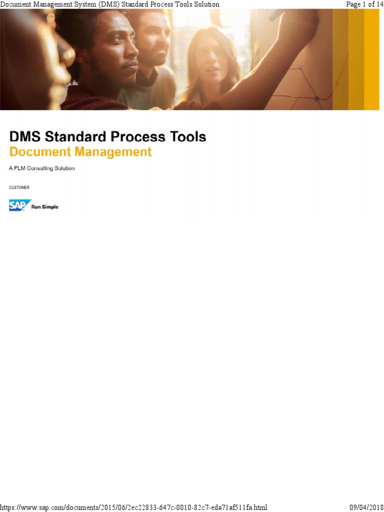 Sap DMS | PDF | Records Management | Business Software
