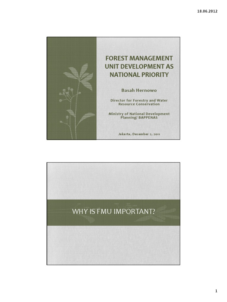 Forest Management Unit Development As National Priority: Why Is Fmu ...