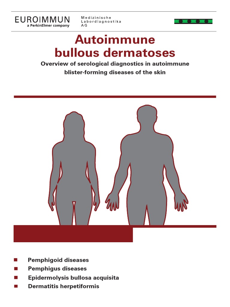 Autoimmune Bullous Dermatoses - Overview of Serological Diagnostics in ...