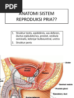Perubahan Anatomi Dan Fisiologi Pada Pubertas | PDF