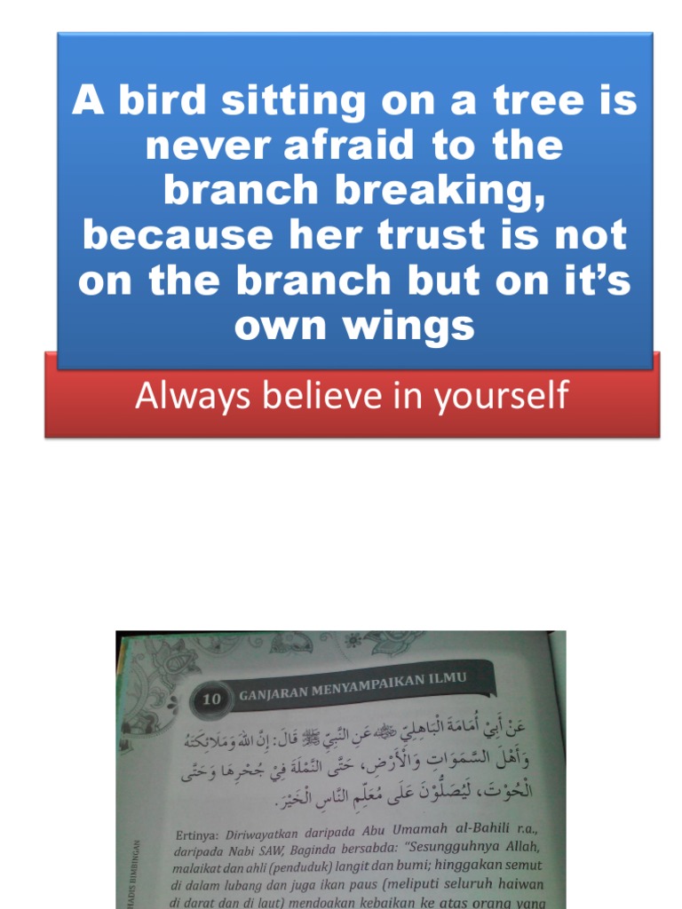 A Bird Sitting On A Tree Is Never Afraid To The Branch Breaking ...