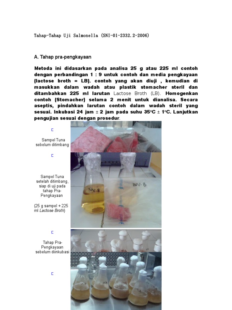Uji Salmonella | PDF