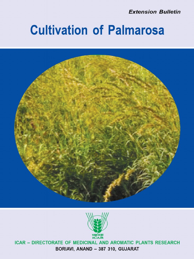 Palmarosa Details | PDF | Tillage | Plant Nursery