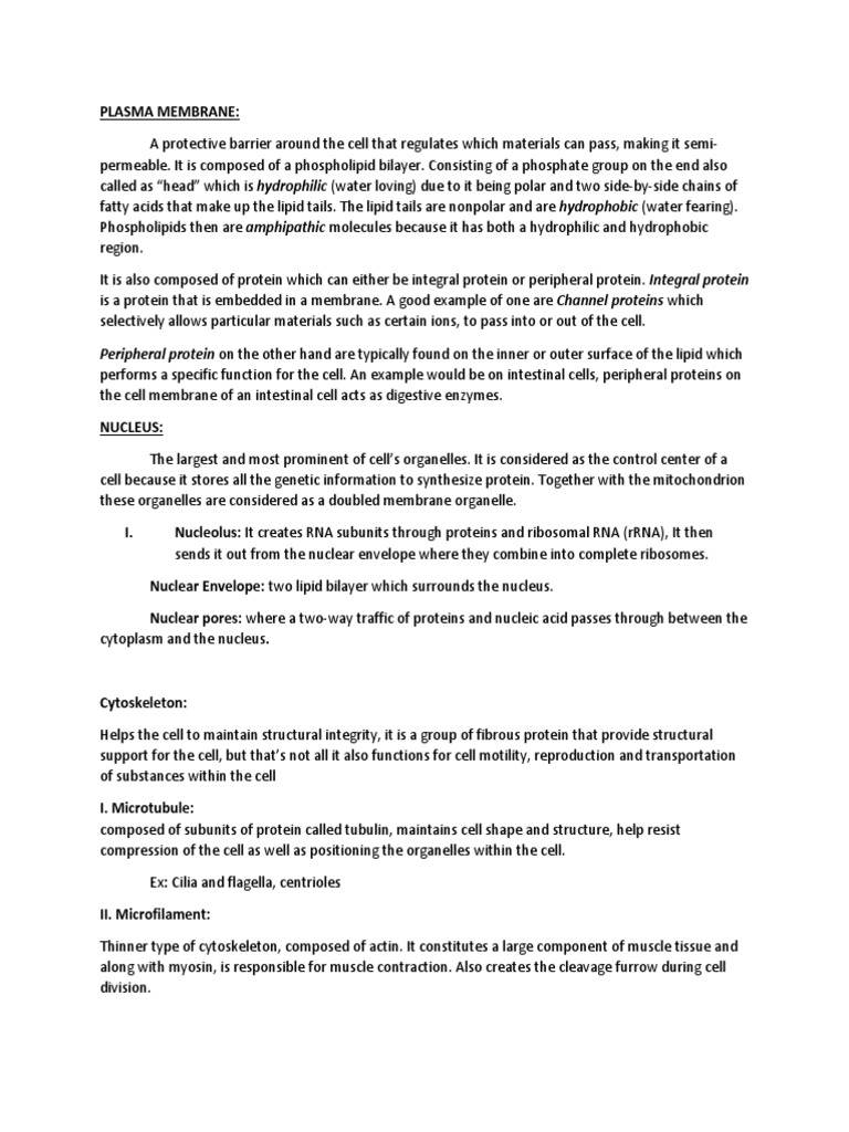 Peripheral Protein On The Other Hand Are Typically Found On The Inner ...