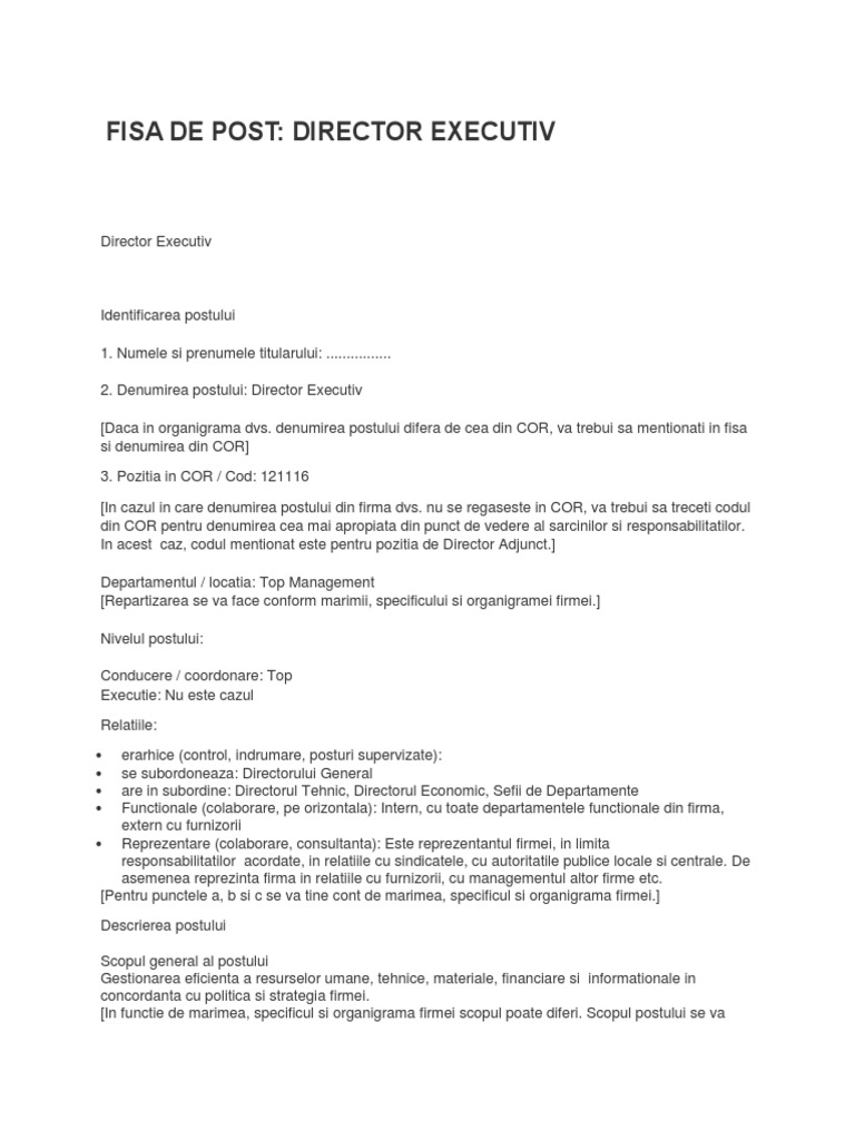 Fisa de Post Director Executiv | PDF