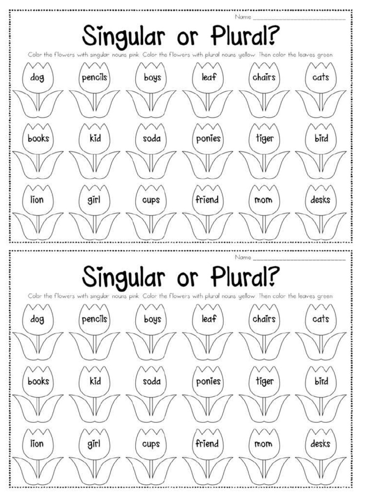 Singular and Plural Nouns 2 | PDF
