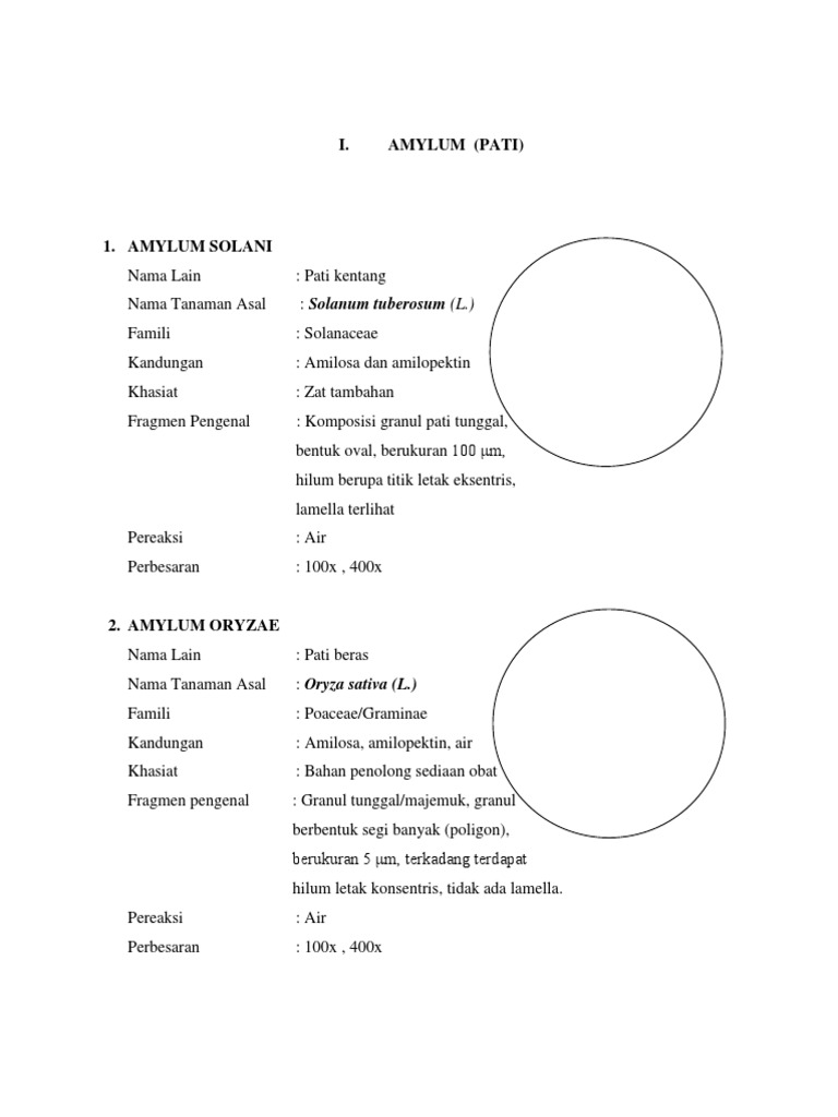 AMYLUM | PDF
