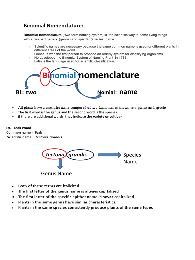 Binomial Nomenclature | Genus | Biological Classification