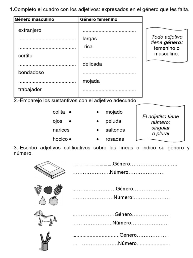 Adjetivos Practica | Descargar gratis PDF | Adjetivo | Género gramatical