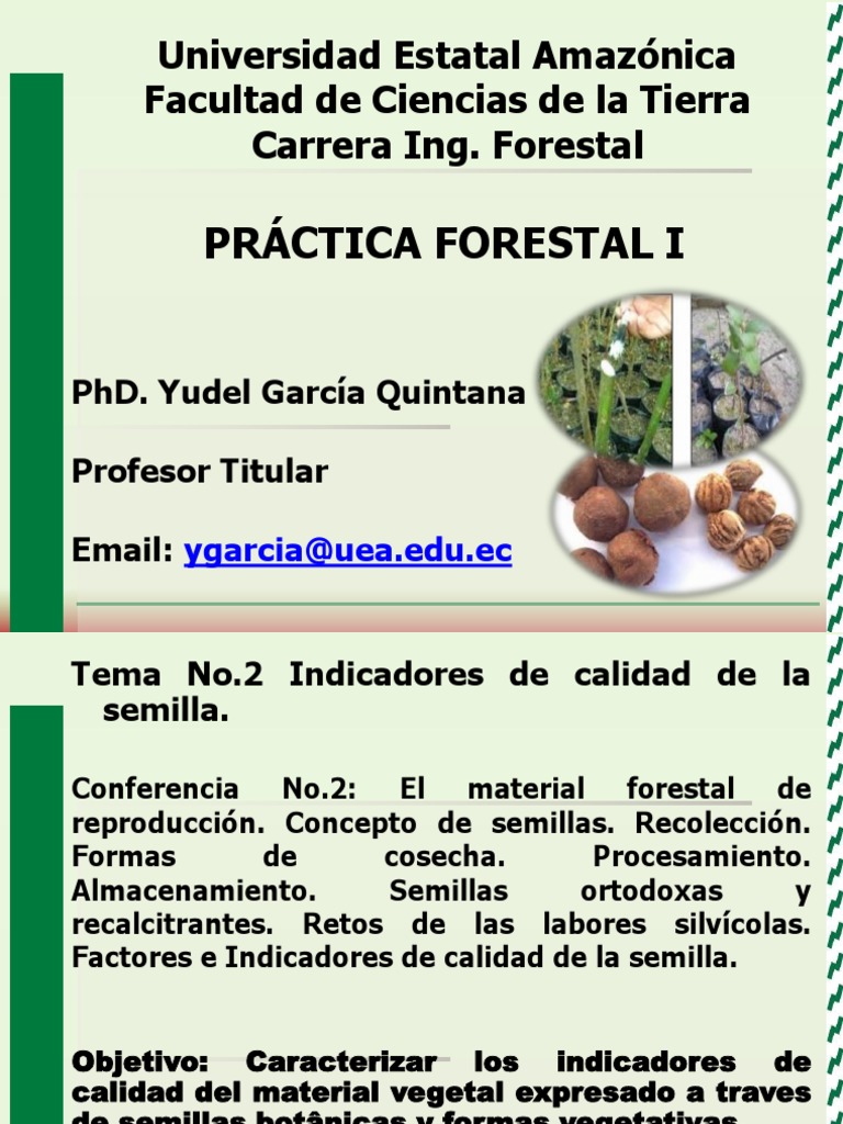 Conferencia 2 Calidad De Semilla Pdf Semilla Germinación