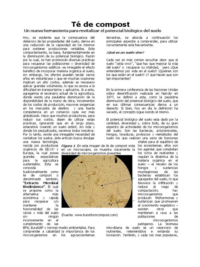 Te de Compost Martin Riegel P | PDF | Compost | Suelo