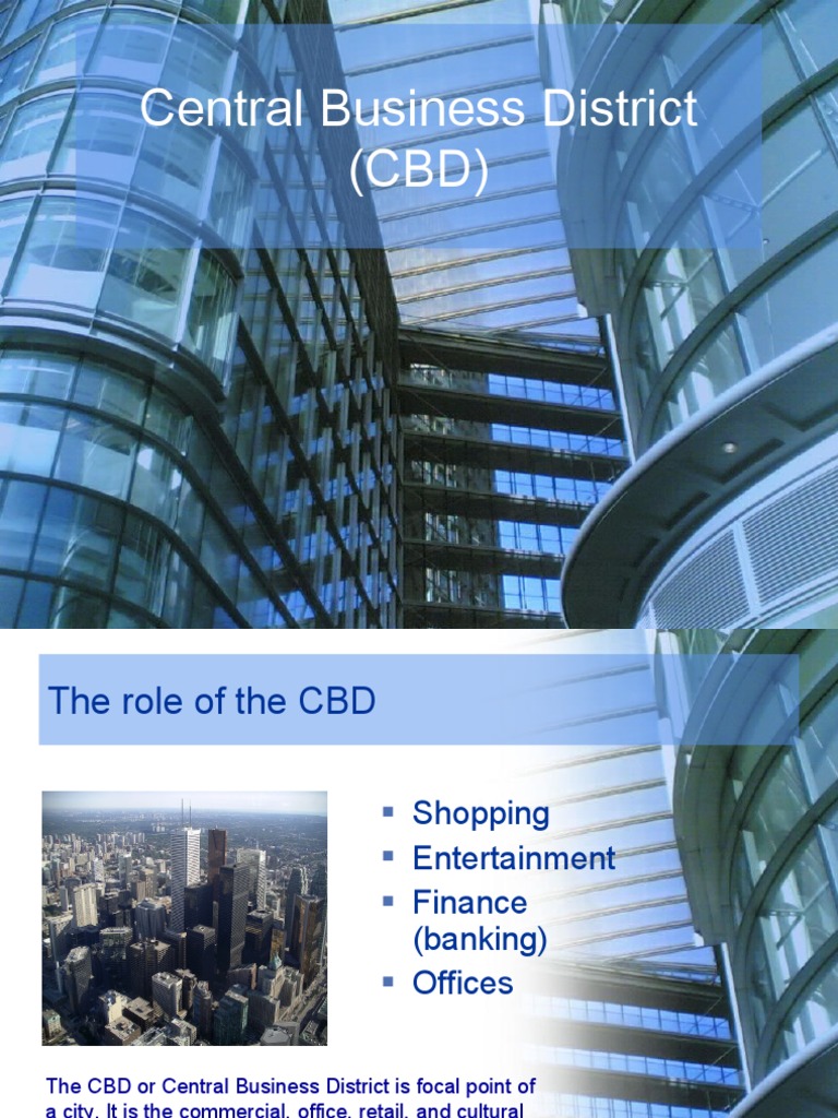 Revitalizing the Central Business District | PDF