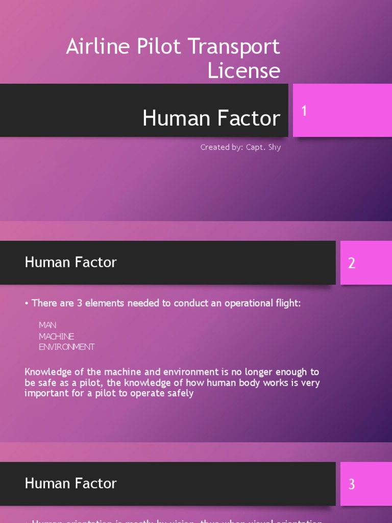 Human Factors in Airline Pilot Safety | PDF | Situation Awareness ...