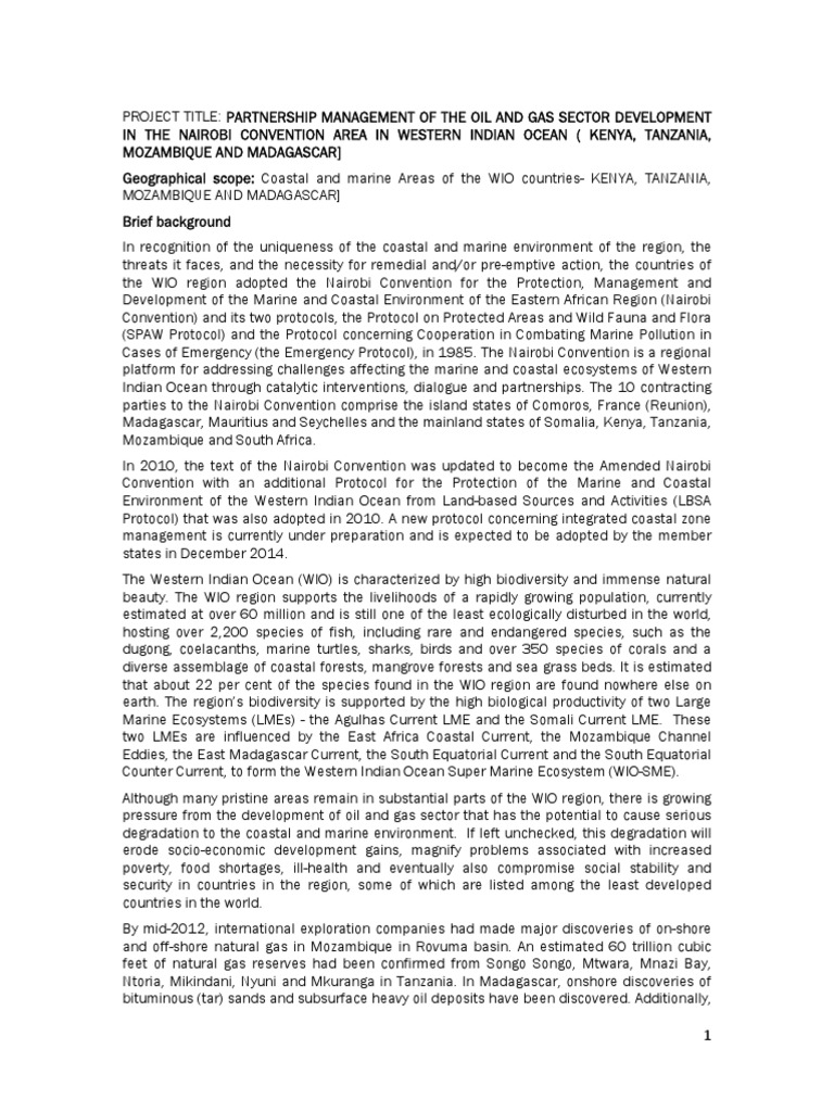 Draft Sida Project Proposal Oil and Gas | PDF | Environmental Impact ...