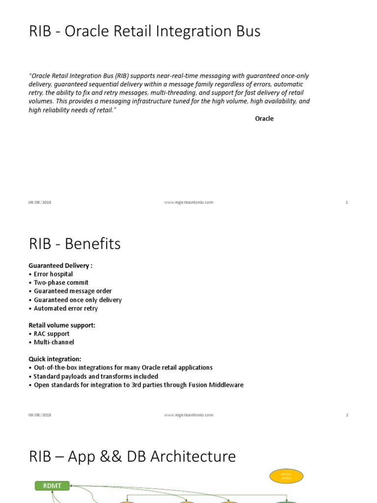 Rib Entities - The Basics | PDF | Systems Engineering | Software