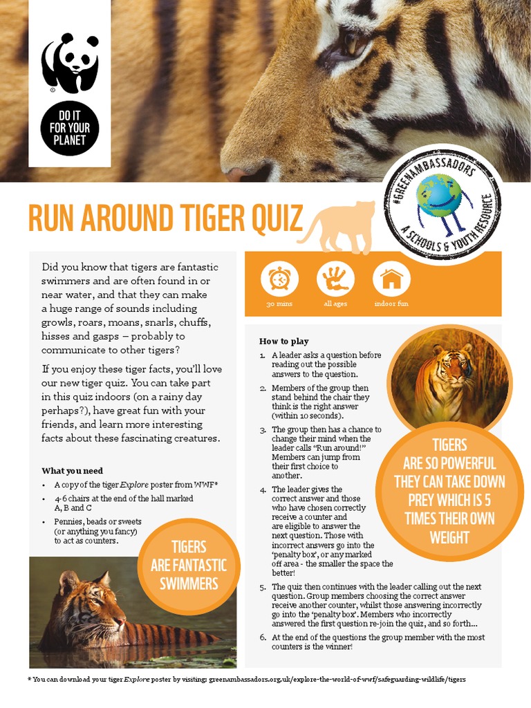 Run Around Tiger Quiz: Tigers Are So Powerful They Can Take Down Prey ...