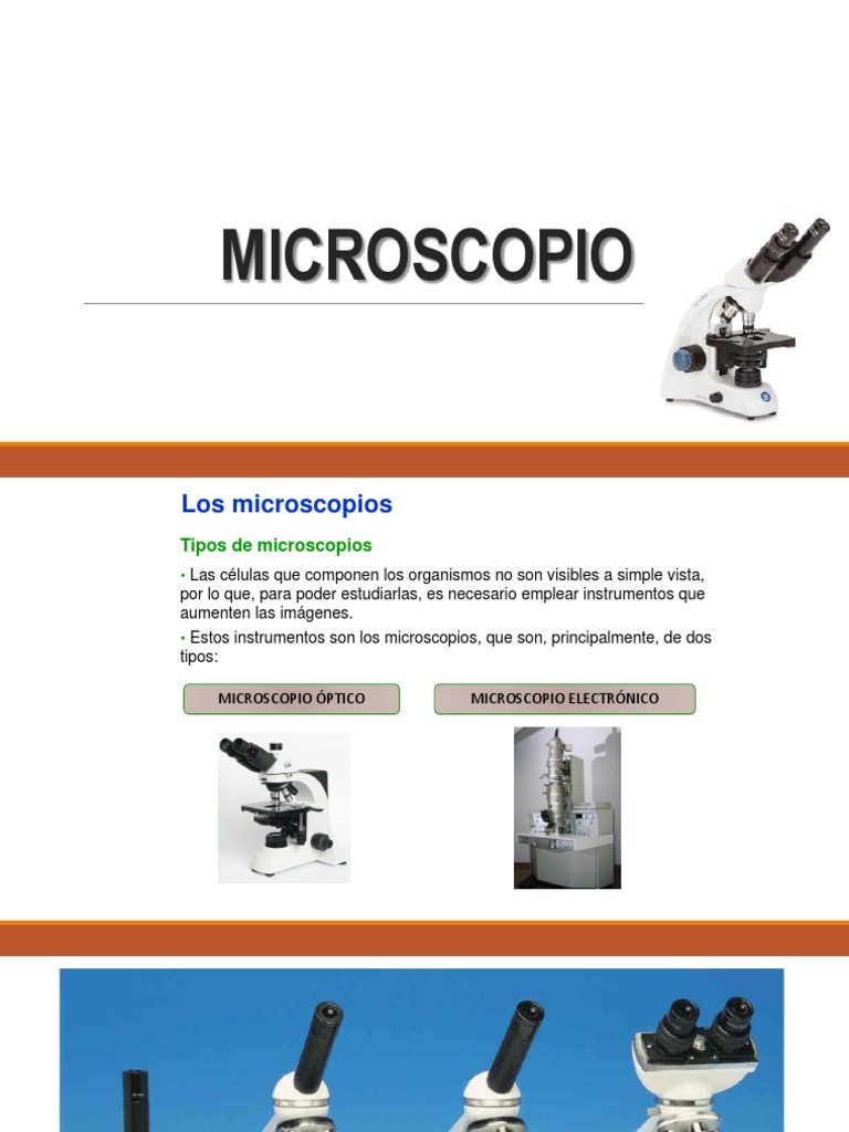 3. MICROSCOPIO.pptx | Microscopio | Óptica