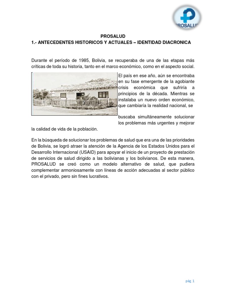 Proyecto Prosalud | PDF | Bolivia | Marketing