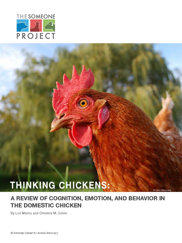 Thinking Chickens:: A Review of Cognition, Emotion, and Behavior in The ...