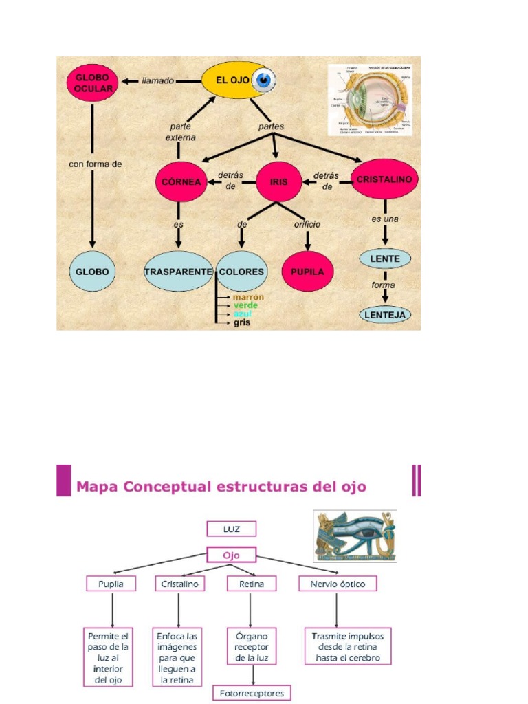 Mapa Conceptual Del Ojo