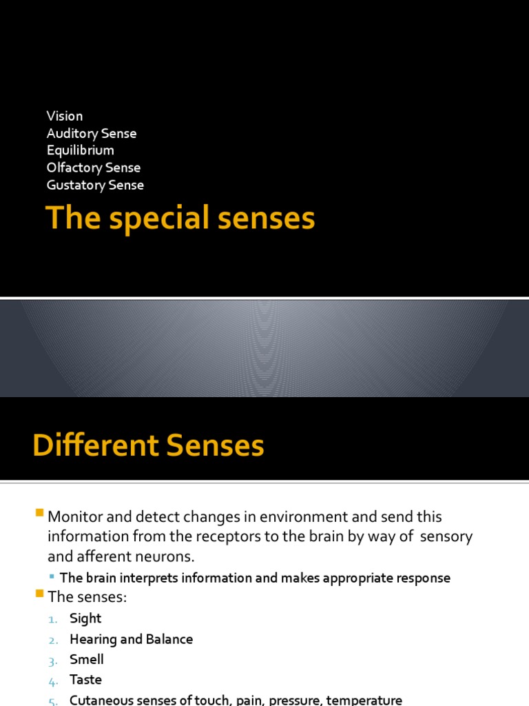 The Special Senses: Vision Auditory Sense Equilibrium Olfactory Sense ...