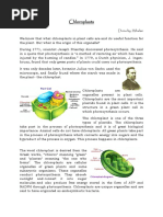 Cell Structure (Grade 6) - Free Printable Tests and Worksheets PDF ...